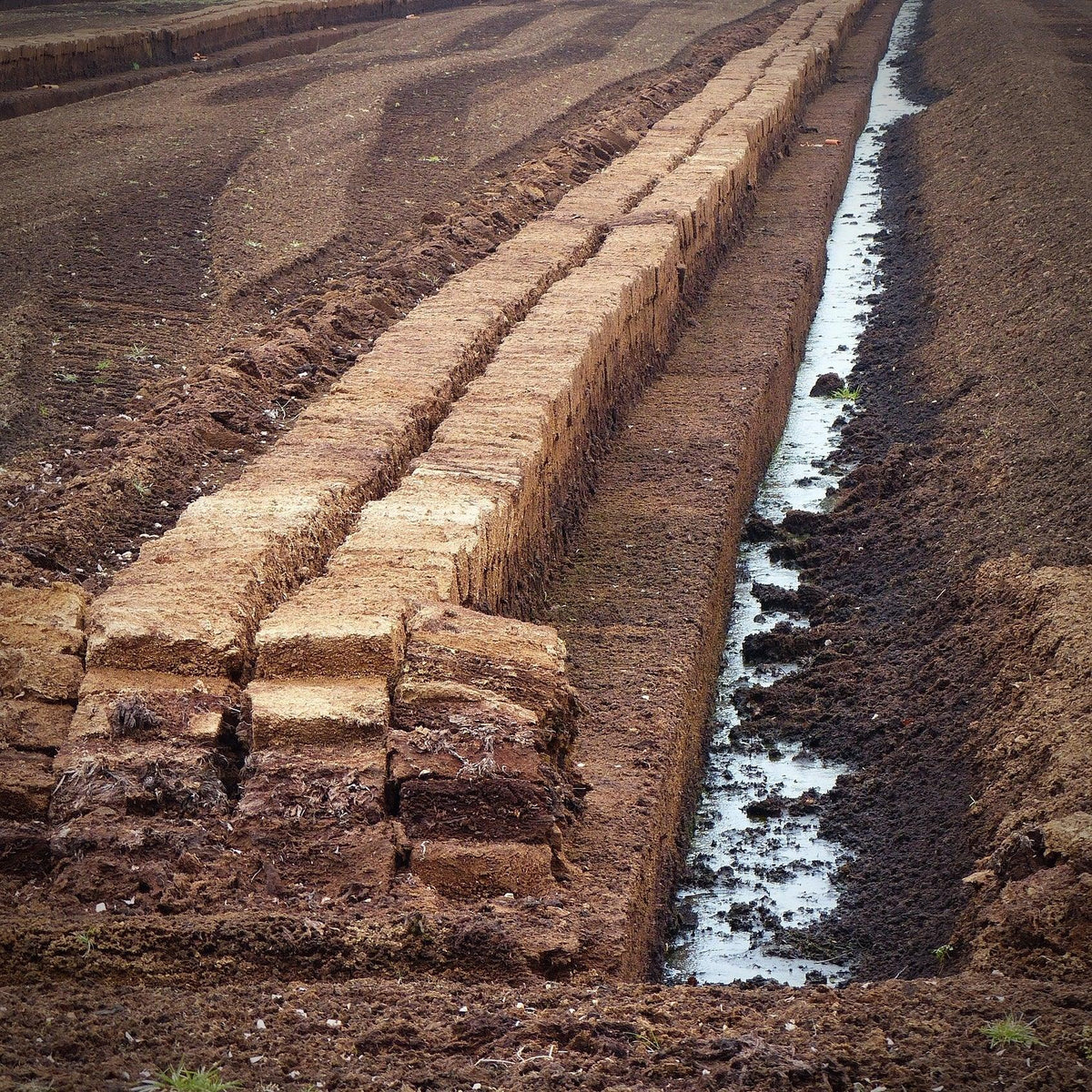 What is peat? – for peat's sake