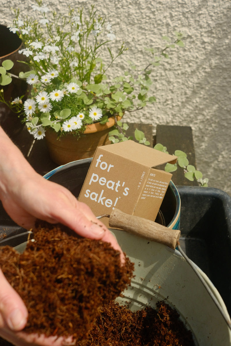 Professional-grade Coir Compost | Peat-free Houseplant Compost – for ...